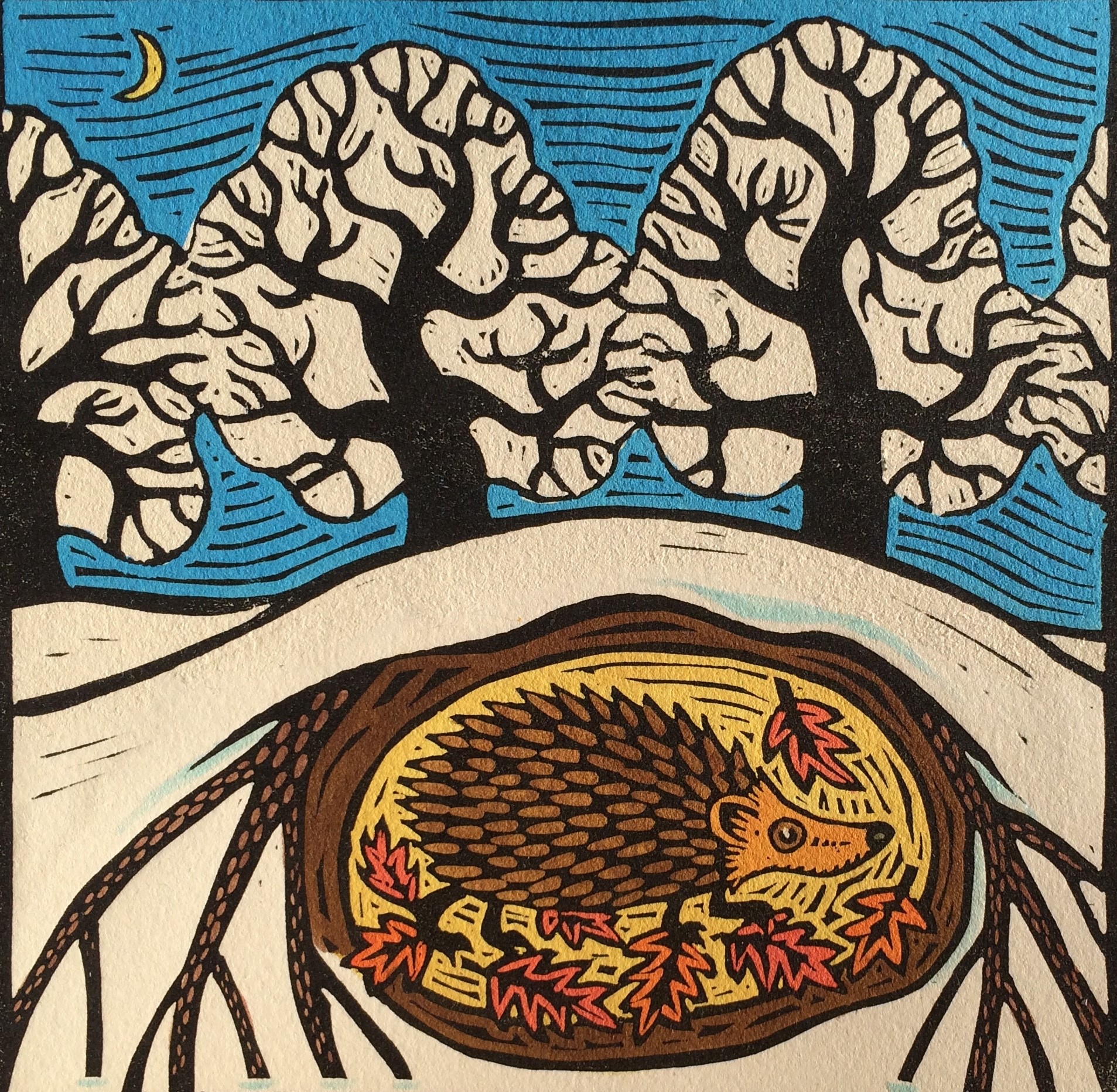 York artist Gerard Hobson enjoys winter walk on the wild side at ...