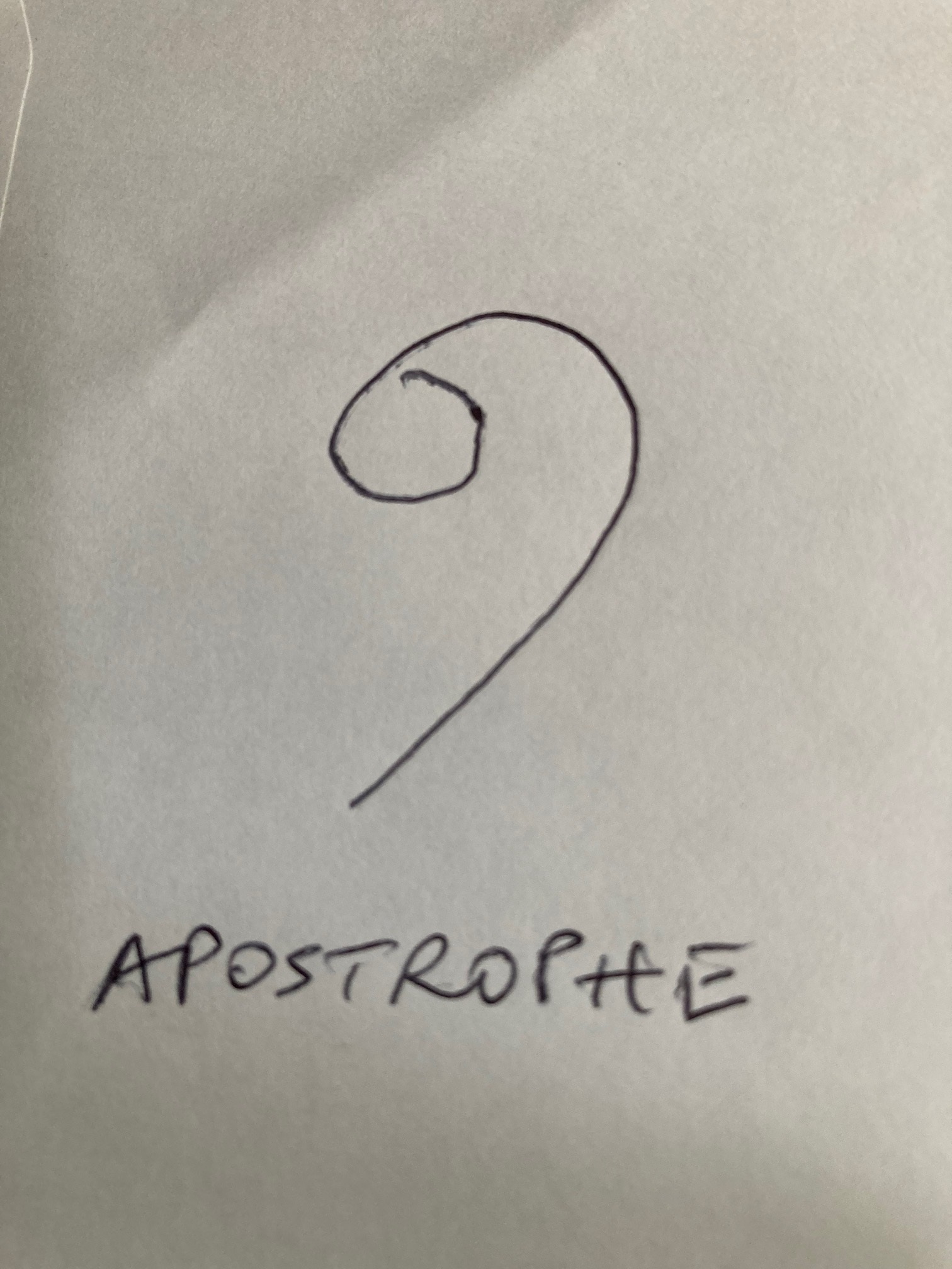 International Apostrophe Day is on August 15, you say? I’d soon put a ...
